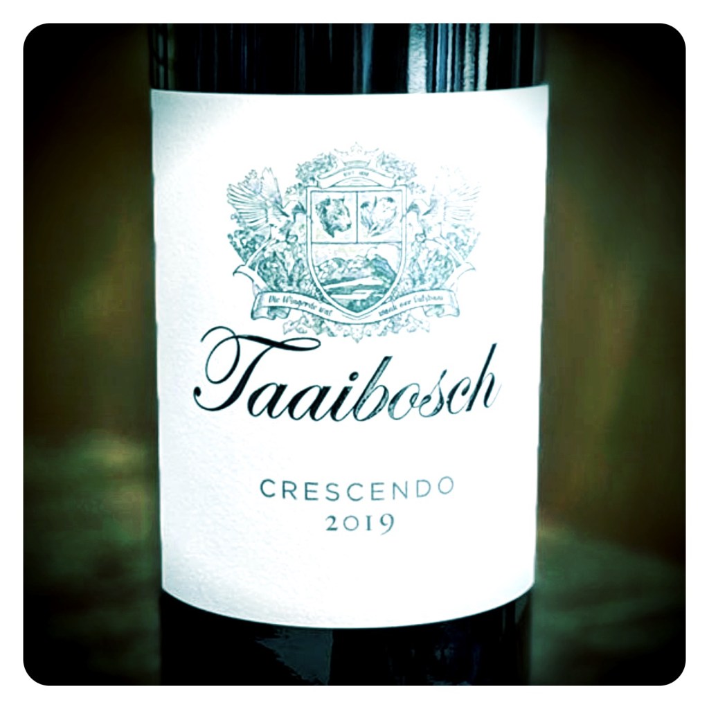Taaibosch – One of the South African Wineland’s Most Exciting New ...
