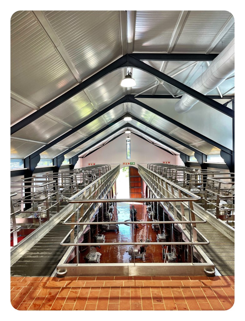 Taaibosch – One of the South African Wineland’s Most Exciting New ...