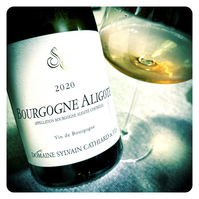 The Age of Bourgogne Aligote: Part 8 – Domaine Sylvain Cathiard et Fils ...