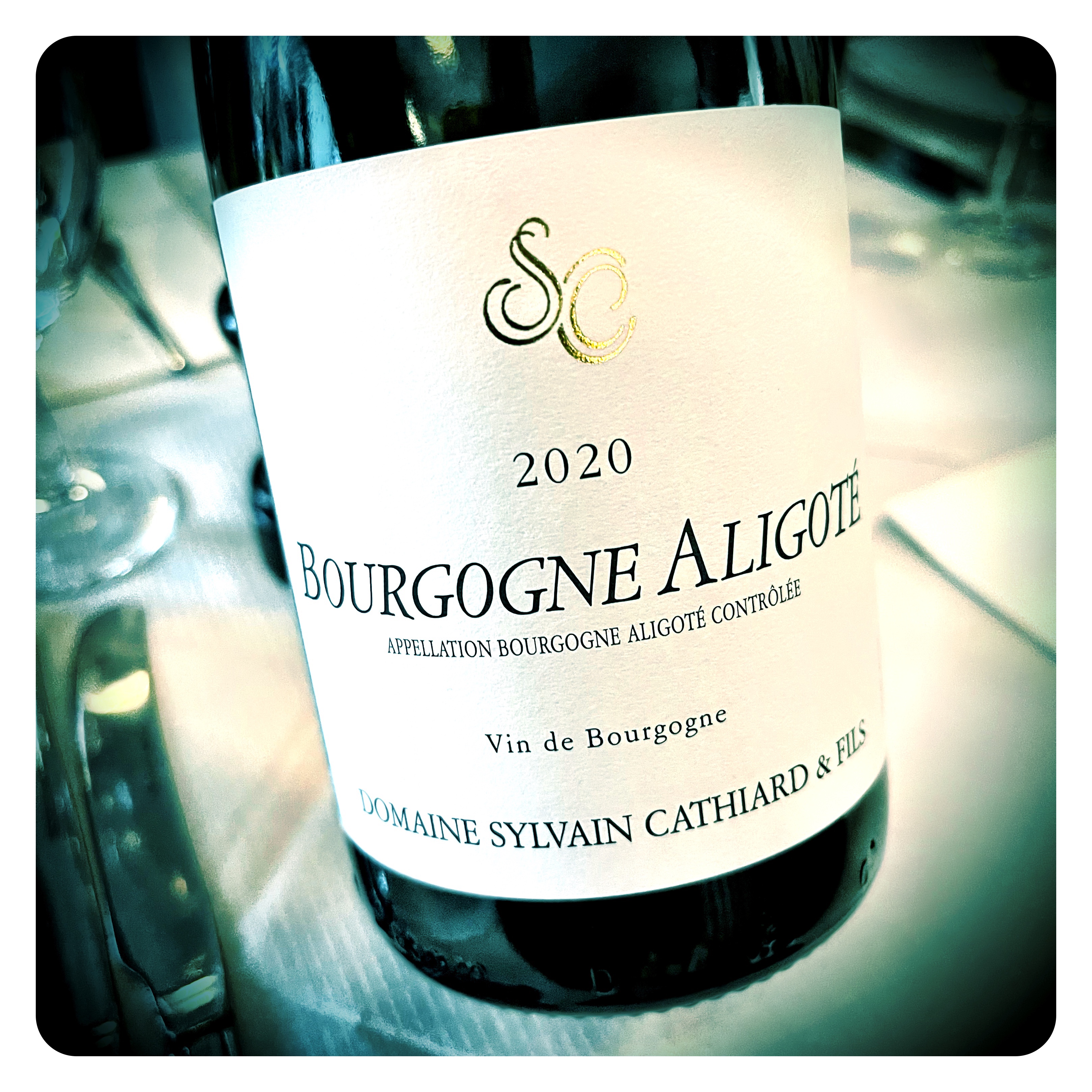 The Age of Bourgogne Aligote: Part 8 – Domaine Sylvain Cathiard et Fils ...