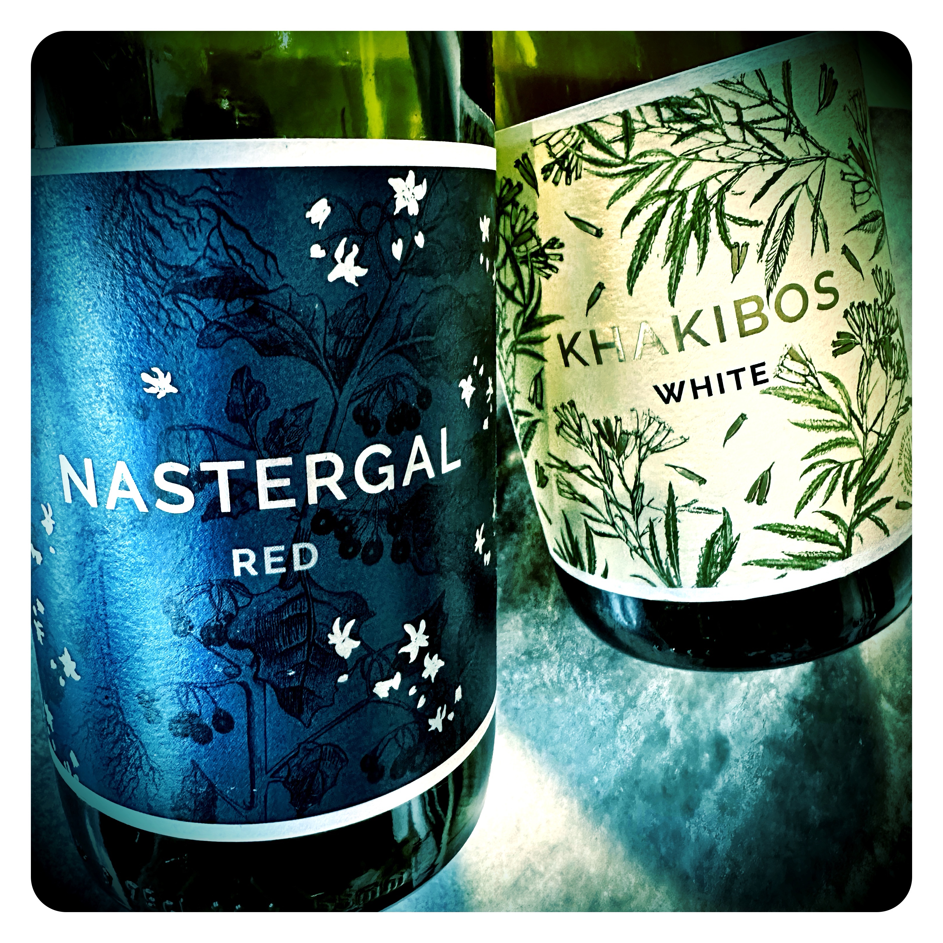 Stephanie Wiid from Thistle & Weed Wines Showcases Two Impressive New ...