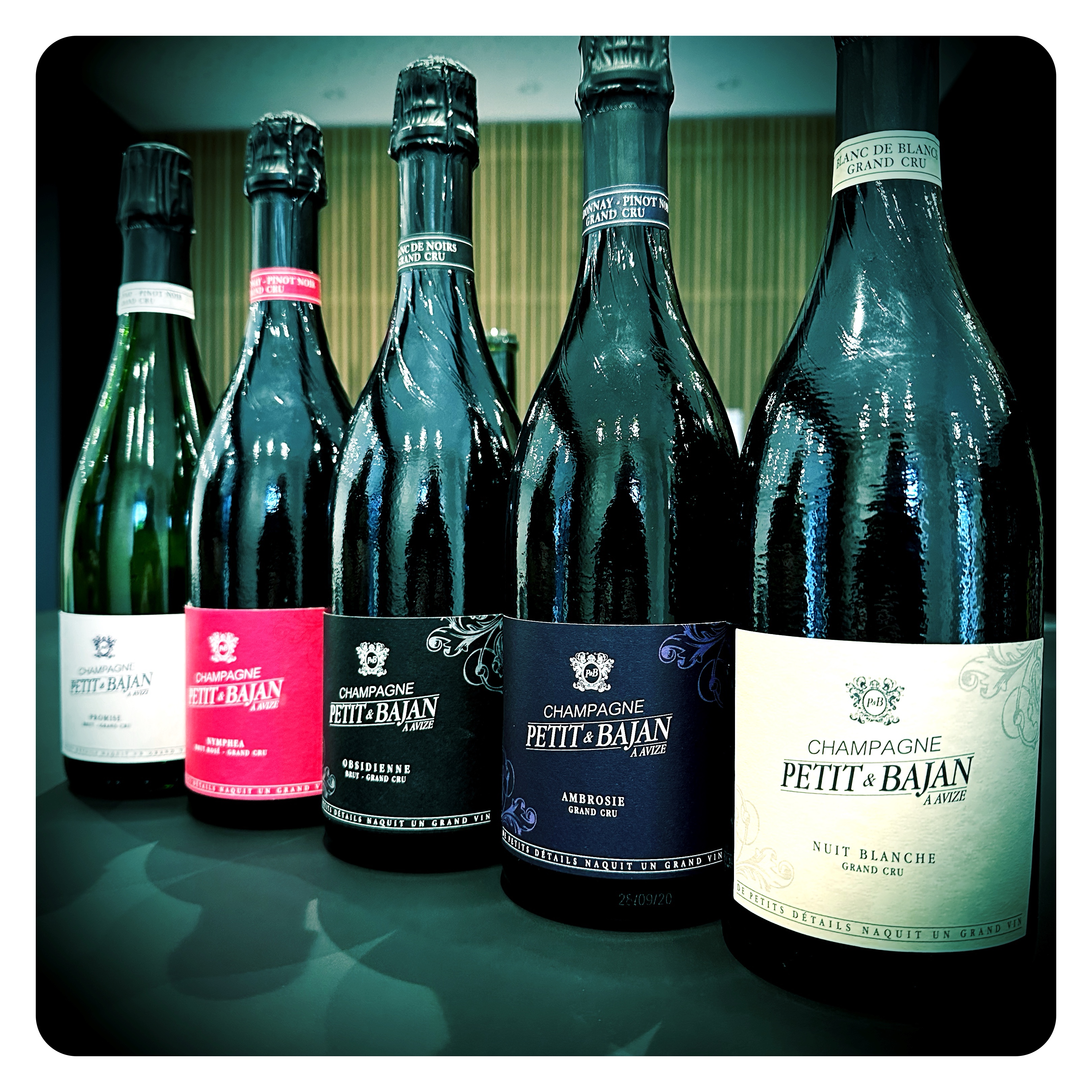 Creating Sparkling Magic in the Montagne de Reims – Tasting the Grand ...
