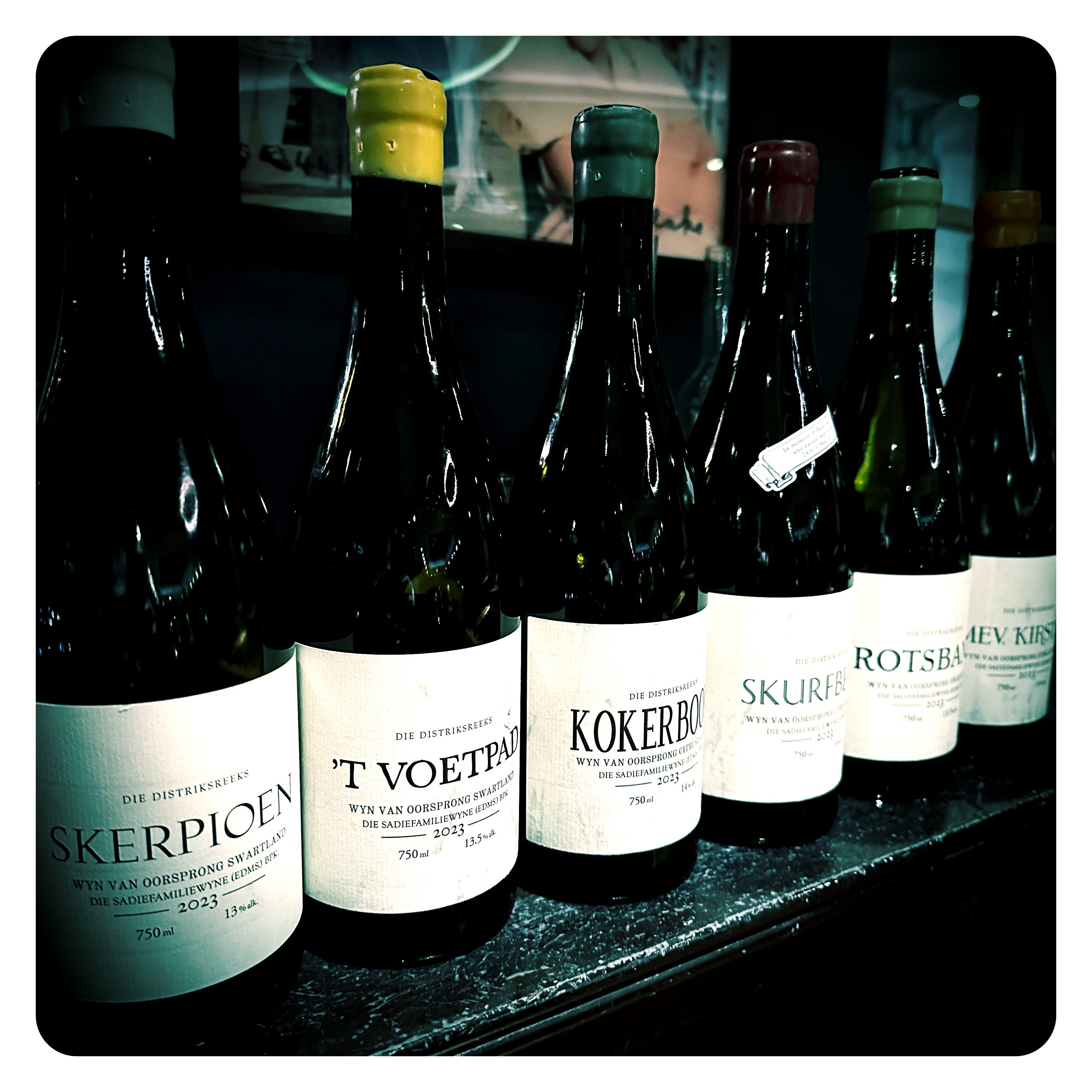 Sadie Family Wines Unveils An Eye-Catching Array of 2023 Vintage ...