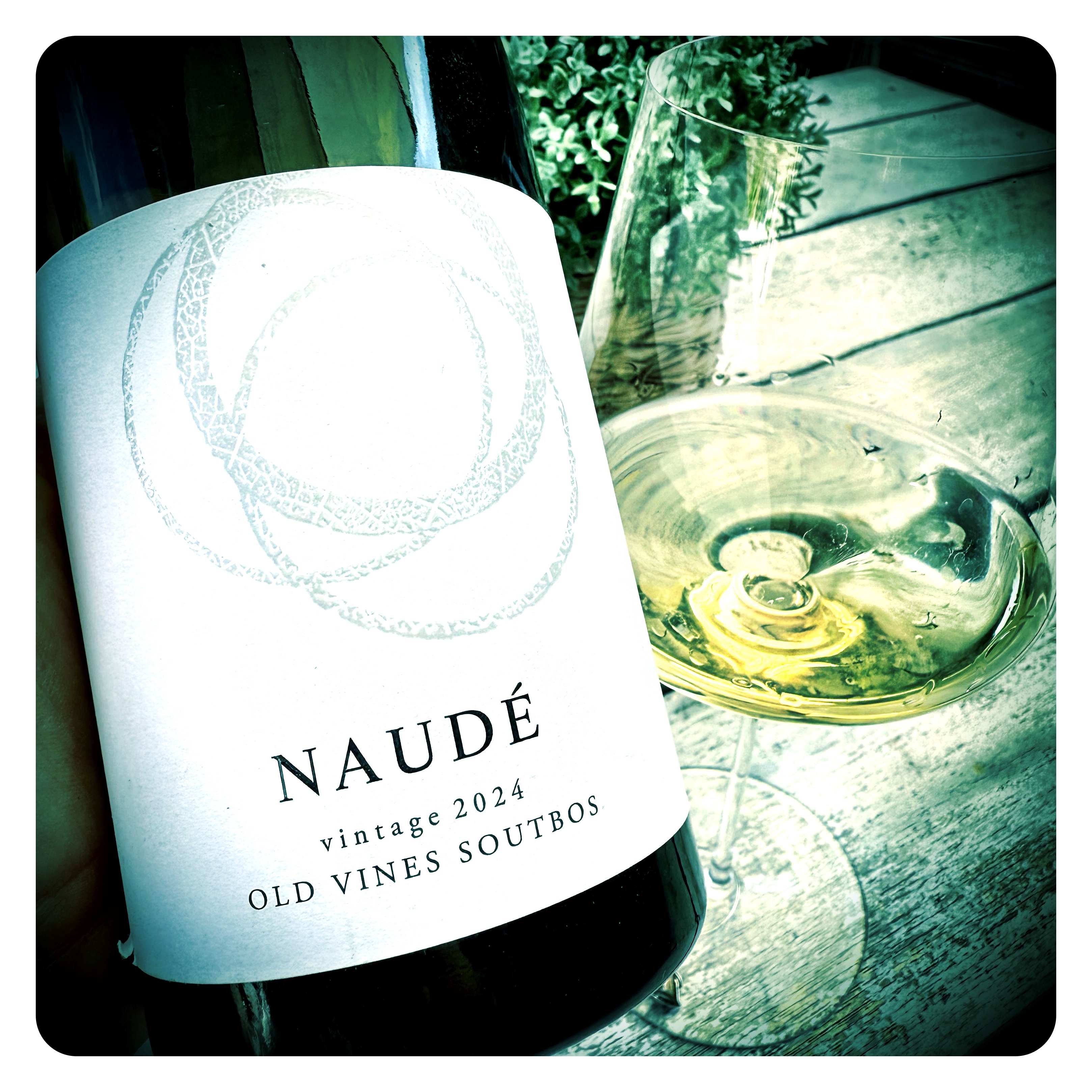 Naude Family Wines Releases a Notable Soutbos White Blend 2024 Follow ...